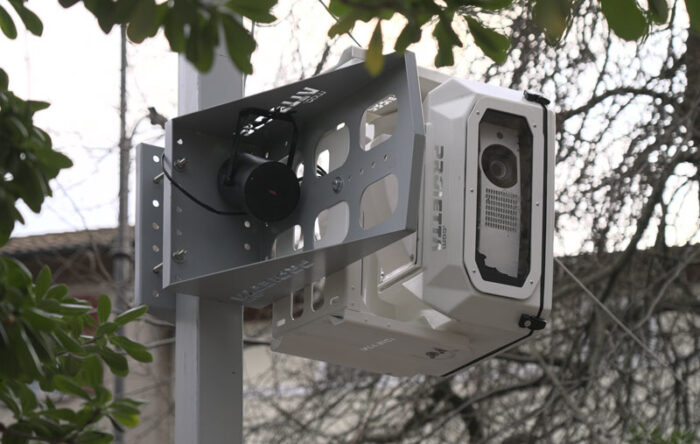 Talking and singing trees - Mapping Projector